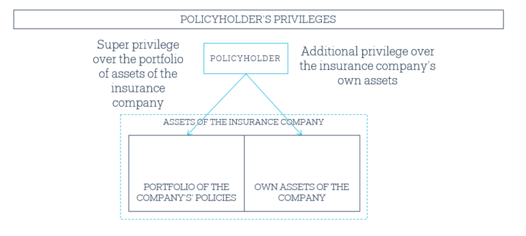 Insurance policyholder Asset Security and Protection Triangle - OneLife